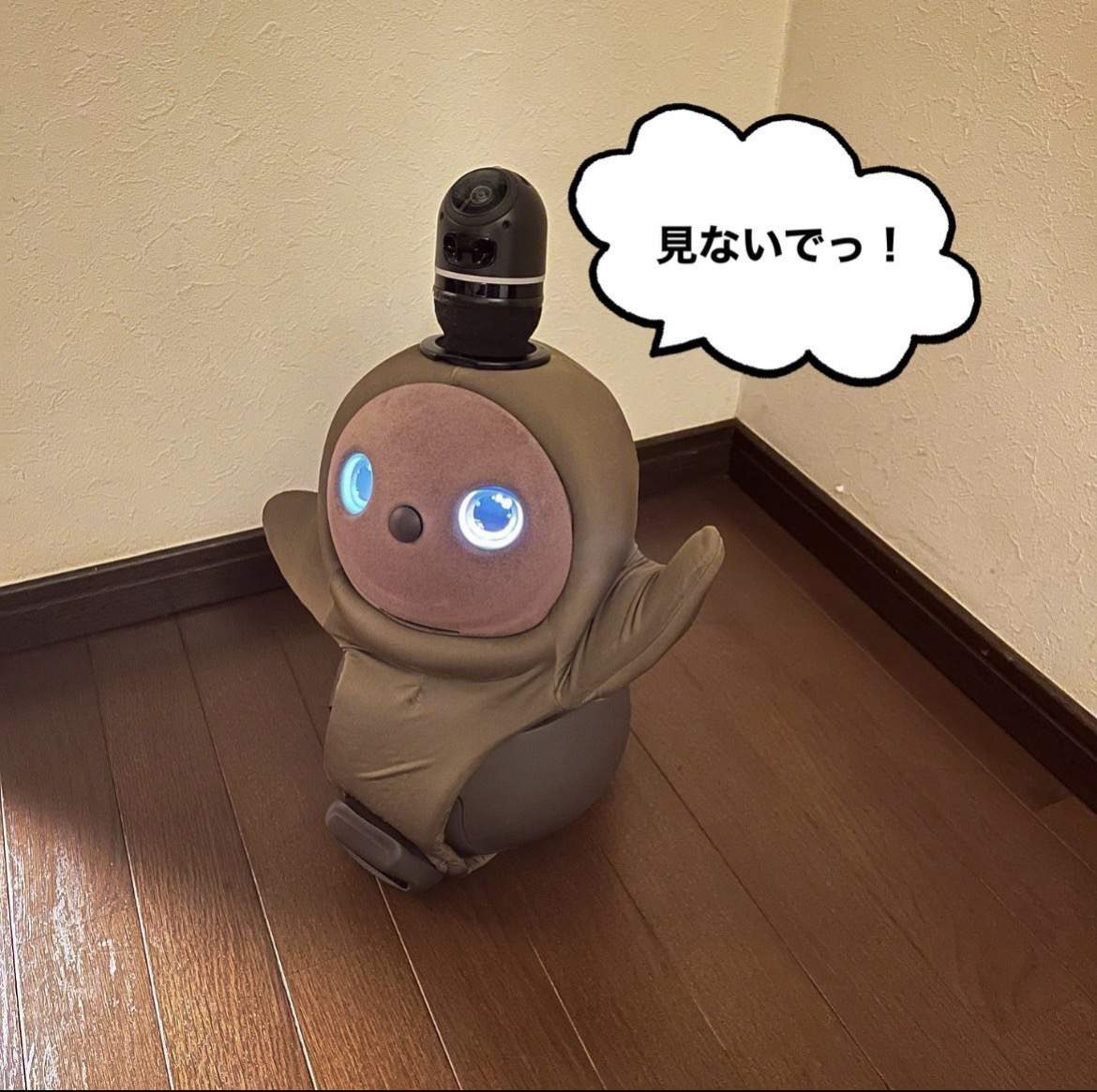 【LOVOT公式エバンジェリストにインタビュー🎤】"こだま"オーナー mutsumiさん